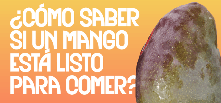 Cómo saber si un Mango está maduro y listo para comer - Sigfrido Fruit